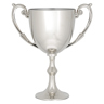 Metal Cups & Bowls - Recognition Cup - Trophies & Awards - Trophies