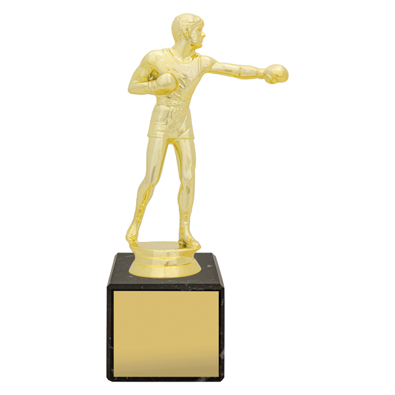 Boxing Recognition - Gold Figure on Black Marble - Trophies & Awards ...