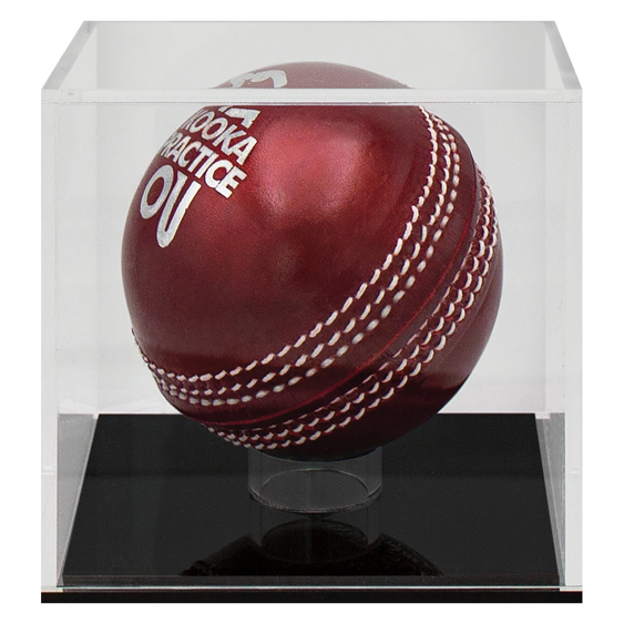 Cricket Trophy - Acrylic Ball Case - Trophies & Awards - Trophies