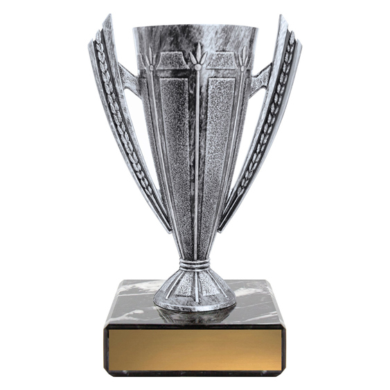Silver Cup - Trophies
